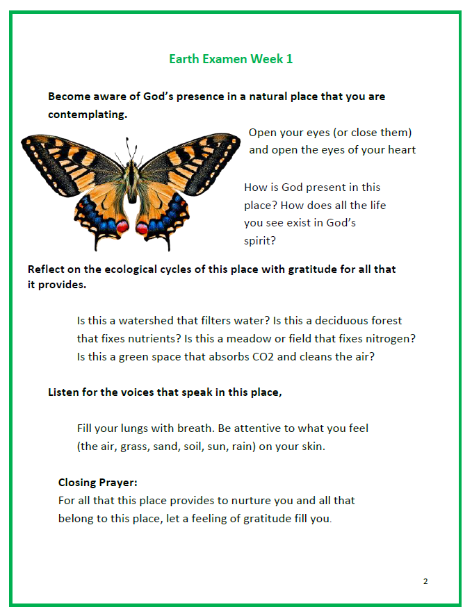 Earth Examen – Week 1 – St. Francis of Assisi Parish